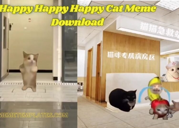 happy happy happy cat meme tiktok Meme Template - Get Meme Templates