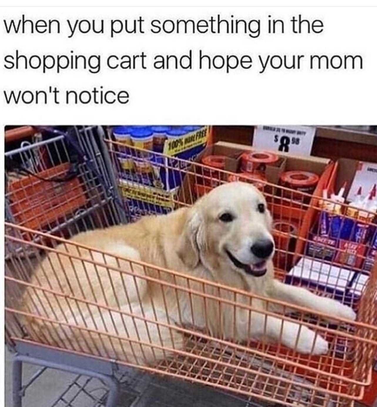 Cart Memes Download