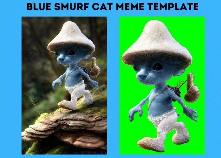 Blue Smurf Cat Meme Template Meme Template - Get Meme Templates