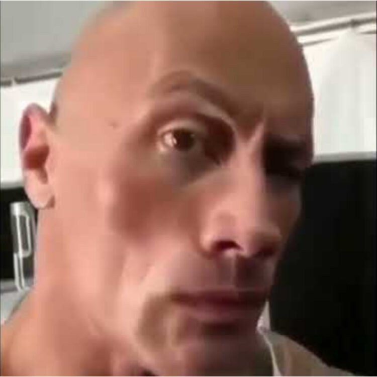 The Rock Reaction Meme Download