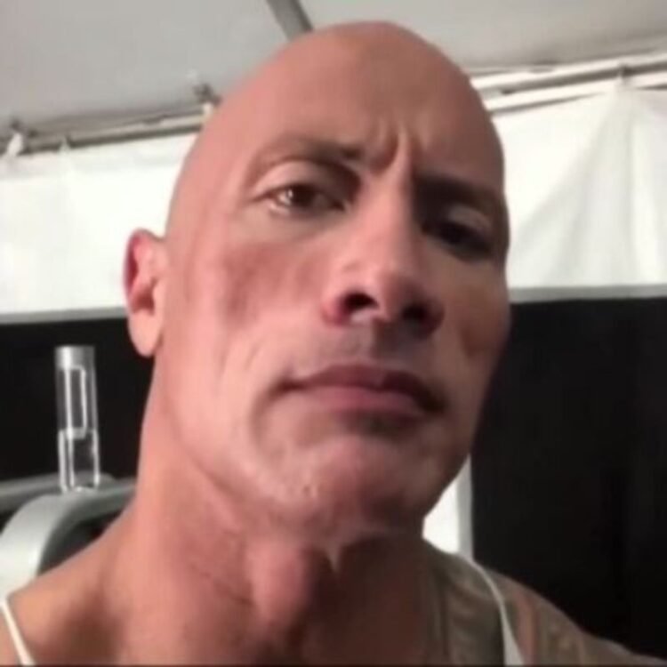The Rock Reaction Meme Download