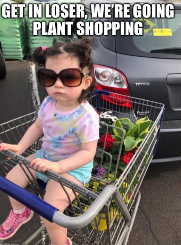 Cart Memes Download