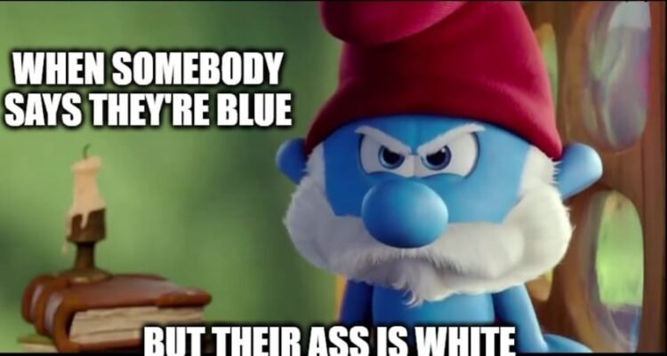 Blue Smurf Cat Meme Template Meme Download
