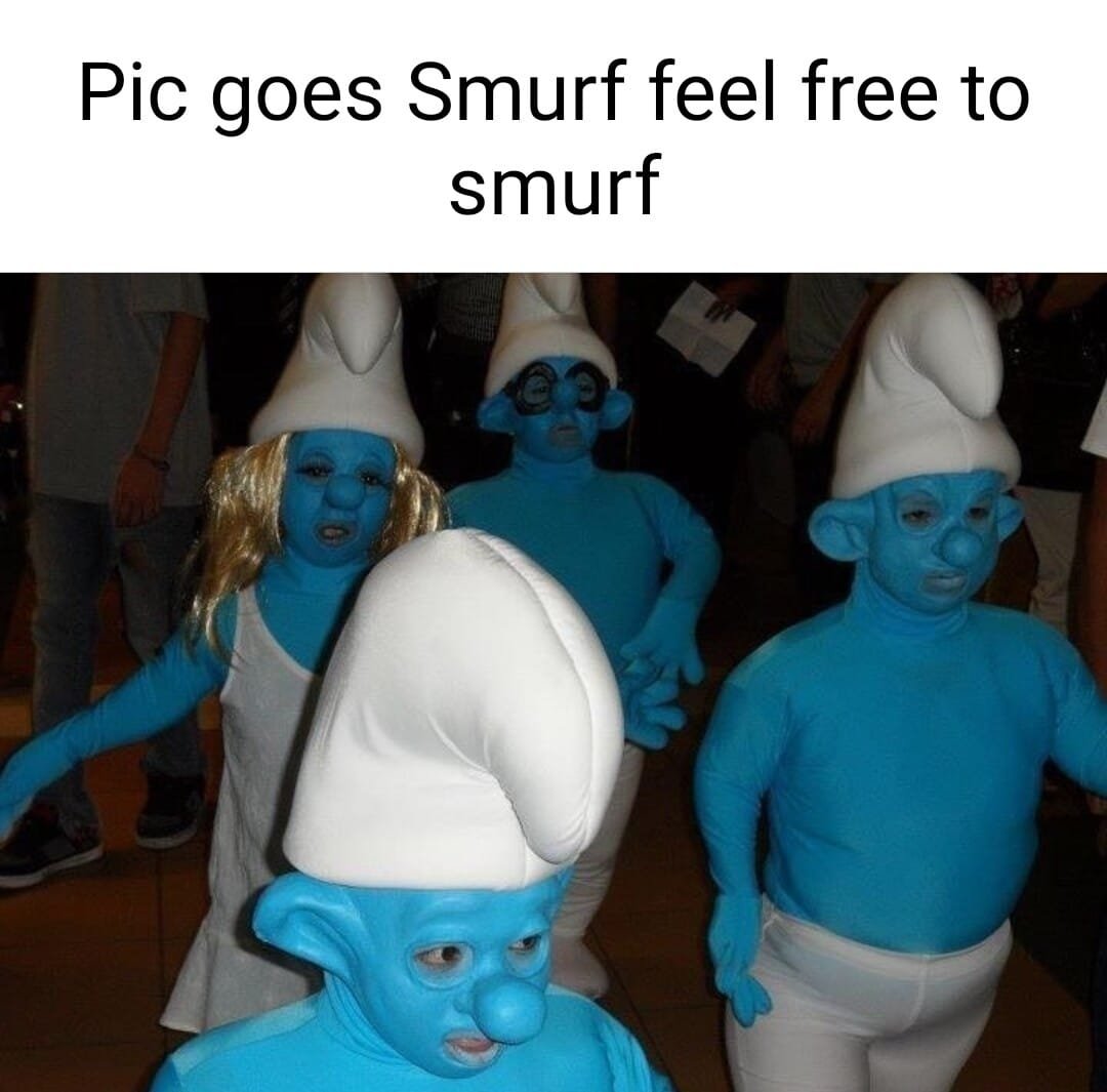 Blue Smurf Cat Meme Template Meme Download